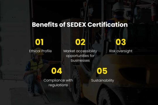 SEDEX Certificate 2026: Everything You Need To Know Before Applying